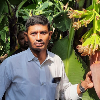 Tissue Culture in Pune, Liquid Fertilizers in India