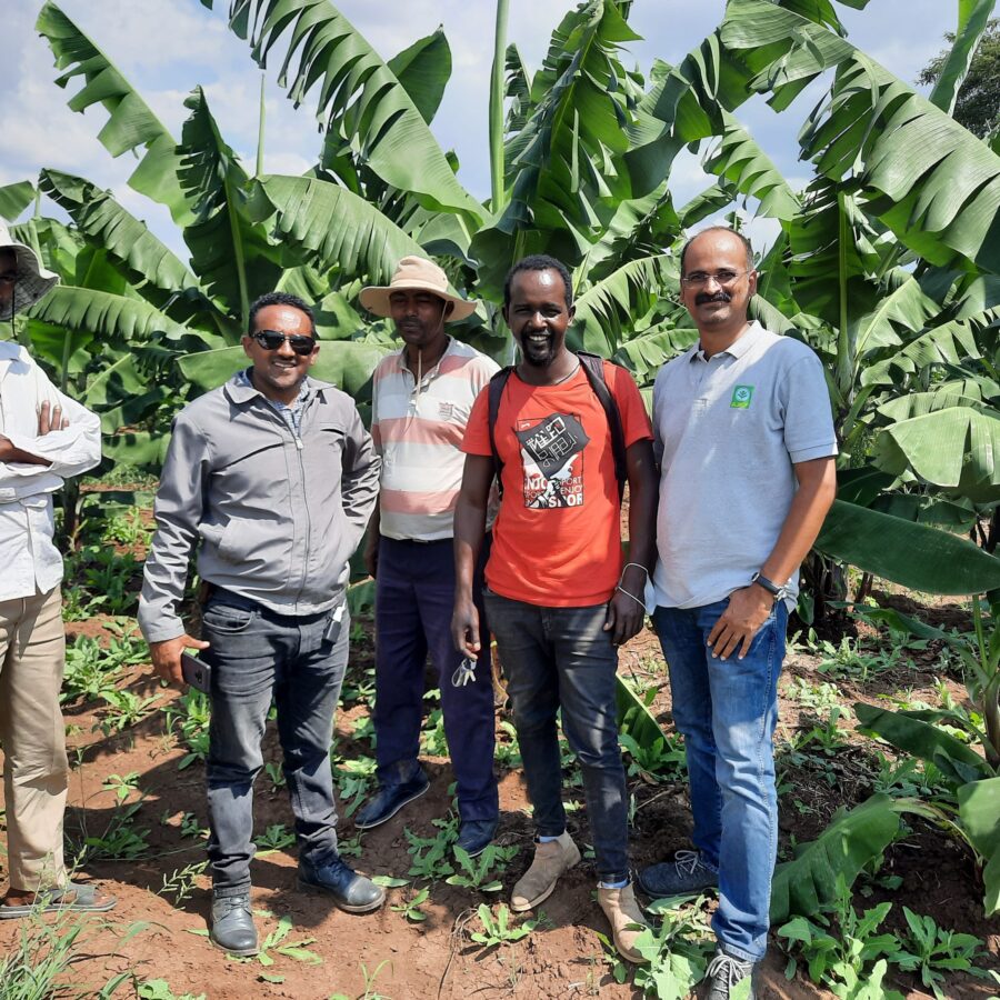 Capturing Collaboration with farmers and Importers